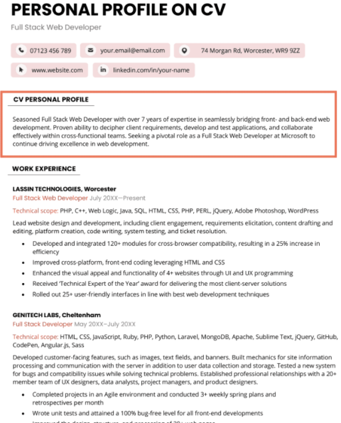 Resume Profile Examples: Tips and Examples for Crafting an Effective ...